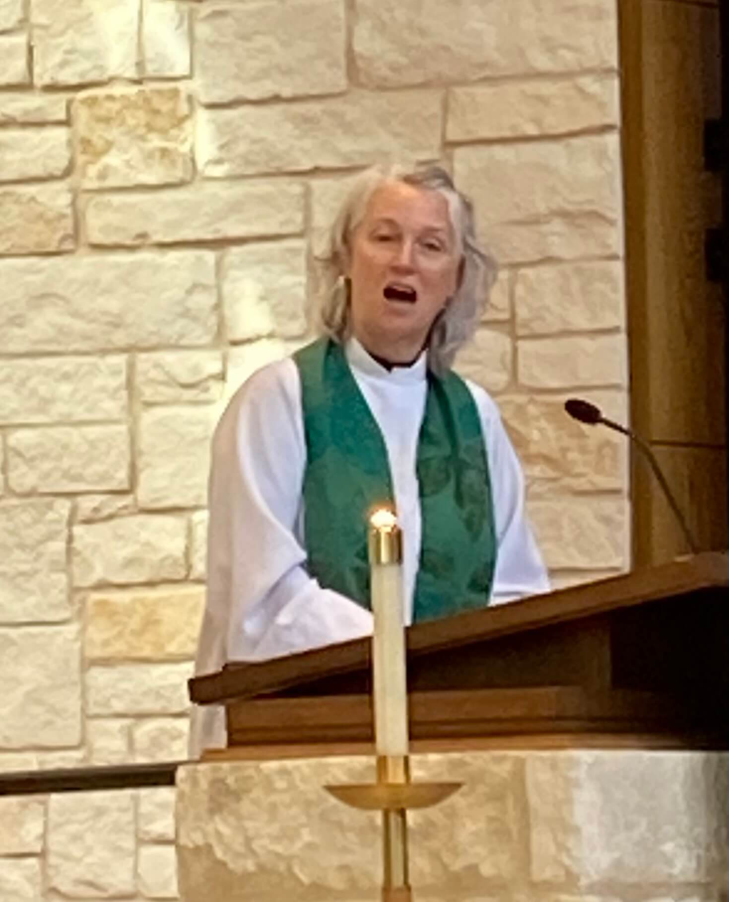 Welcome to the Rev. Dr. Erin Swenson-Reinhold!